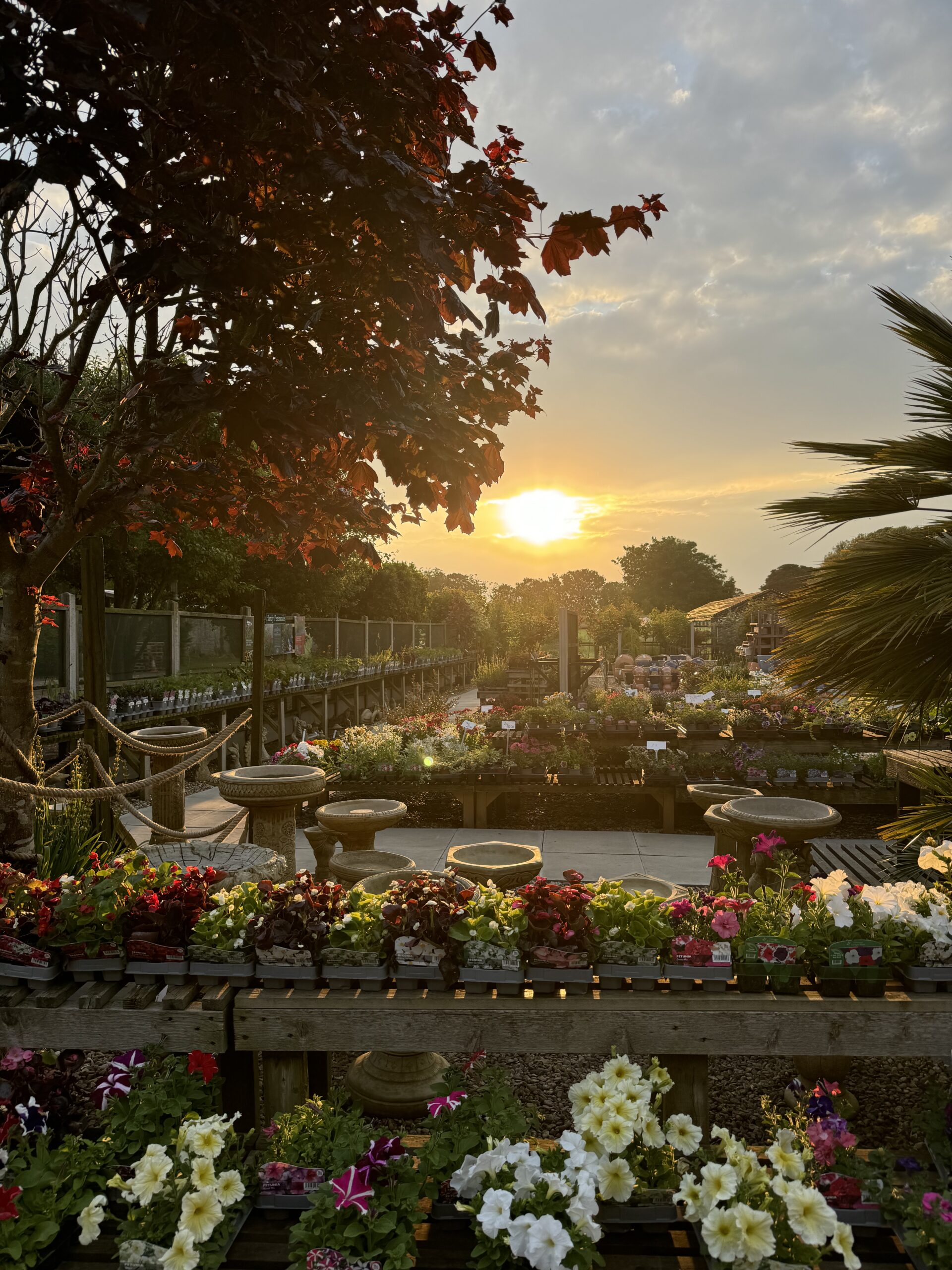 thesecretgardenquex.com